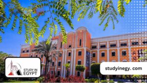ACU University Egypt | Get to Know the top Advantages of...