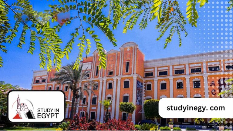 ACU University Egypt | Get to Know the top Advantages of...