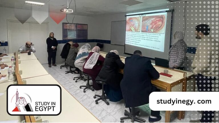 Egyptian Fellowship Programs